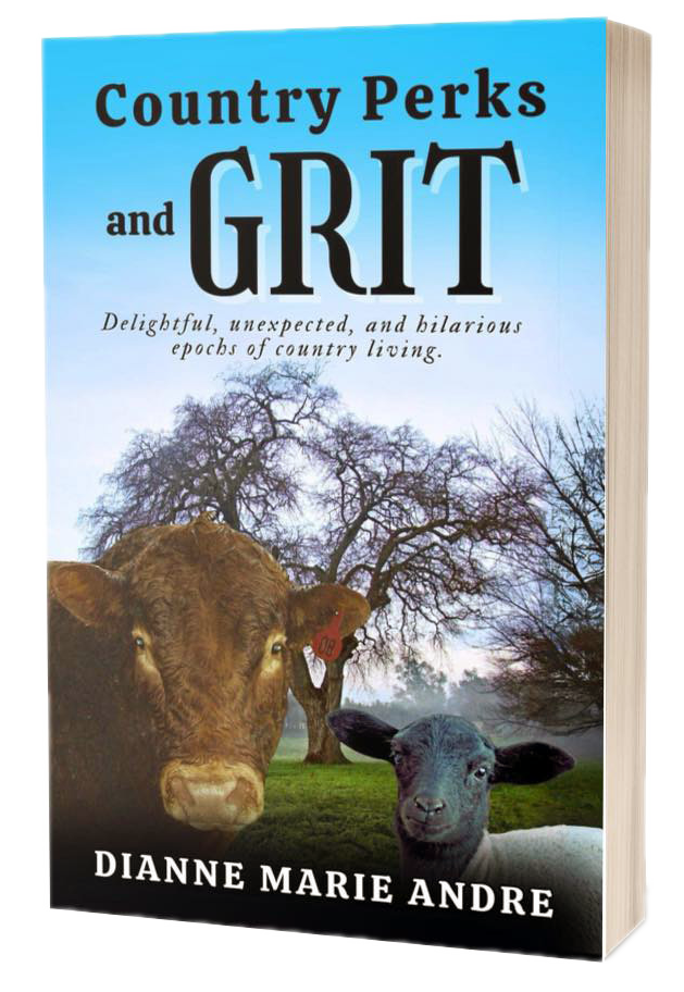 Books – Dianne Marie Andre